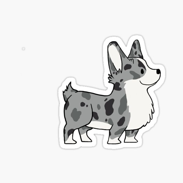"Blue Merle Corgi" Sticker for Sale by bvitale8532 | Redbubble