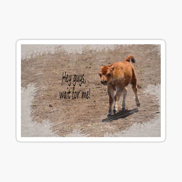 "Hey Guys Wait For Me" Sticker by Tdcc2000 | Redbubble