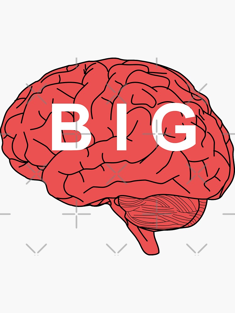 "Big Brain" Sticker for Sale by frigamribe88 | Redbubble