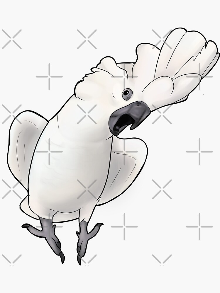 "Screaming Cockatoo" Sticker for Sale by Mehu | Redbubble