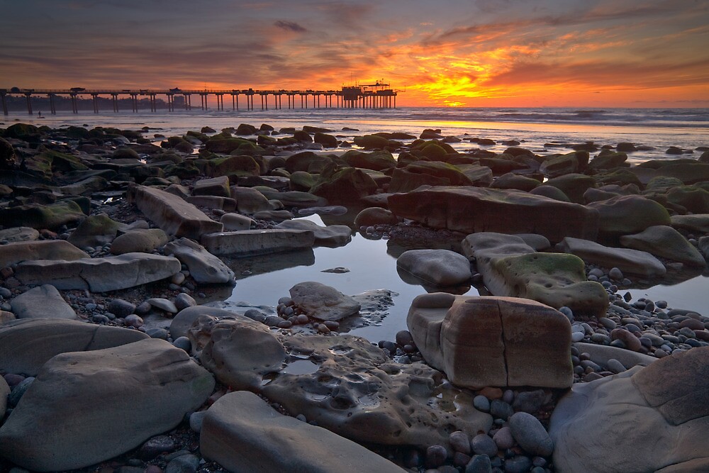 "Scripps Beach, La Jolla" by Robert Whiteman | Redbubble