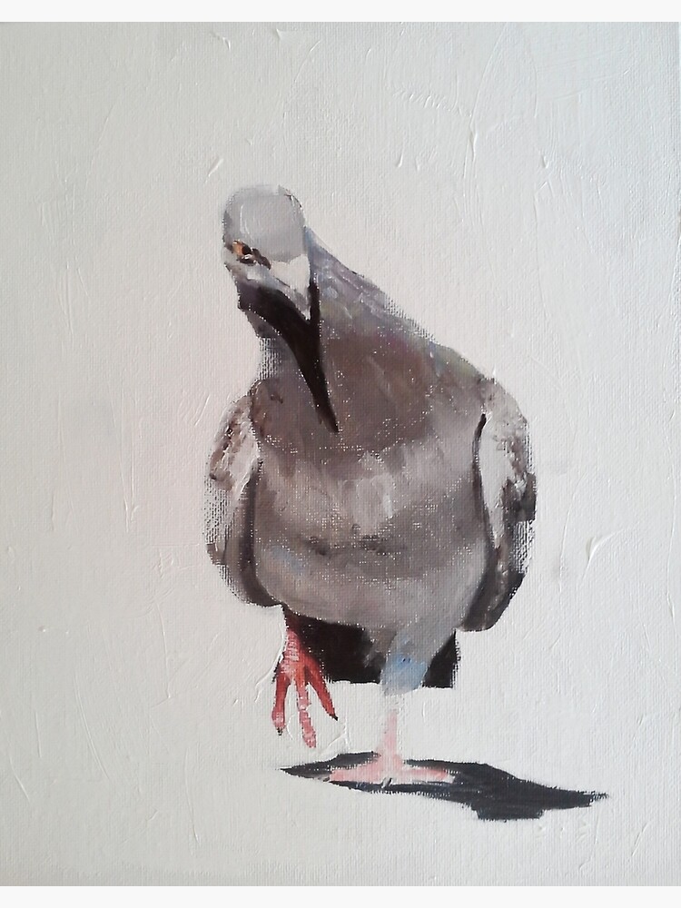 "Funky Pigeon" Art Print for Sale by jamescoates | Redbubble