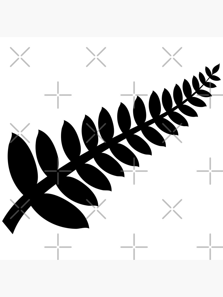 "Silver Fern New Zealand" Photographic Print for Sale by jessannjo ...