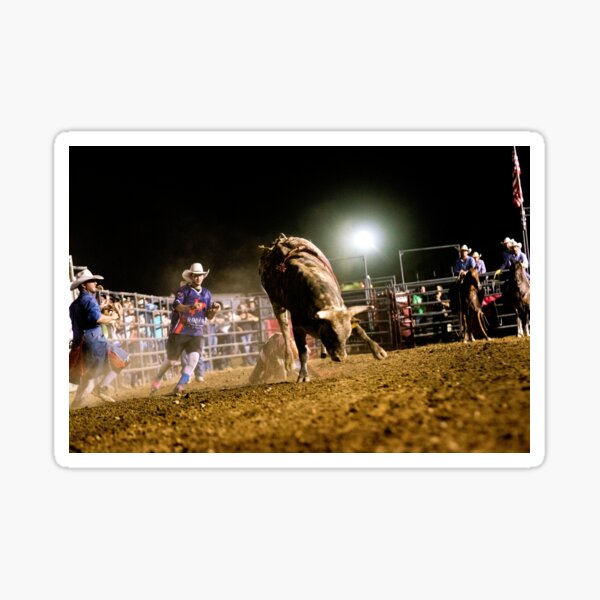 "Dancing Bull" Sticker by TB-Photography- | Redbubble
