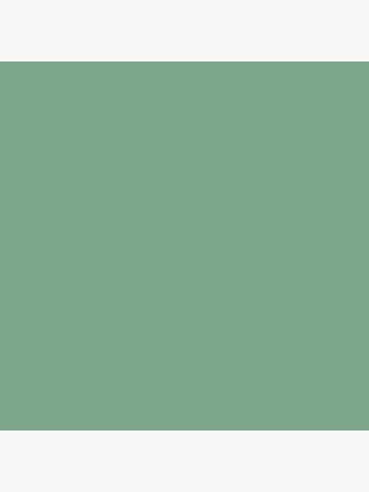  Solid Sage Green Color Poster By Podartist Redbubble