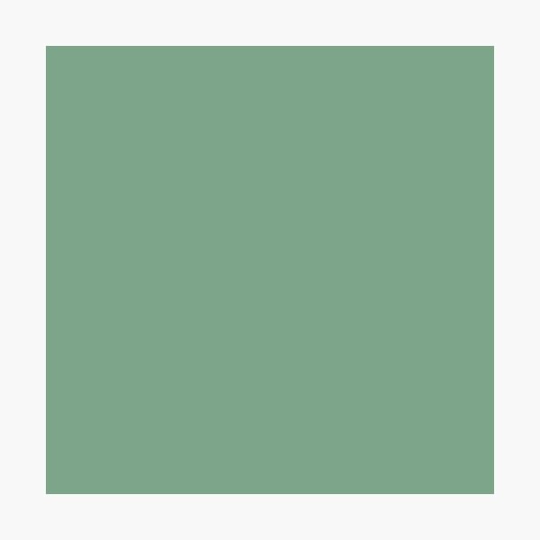 "Solid Sage Green Color" Photographic Print for Sale by podartist ...