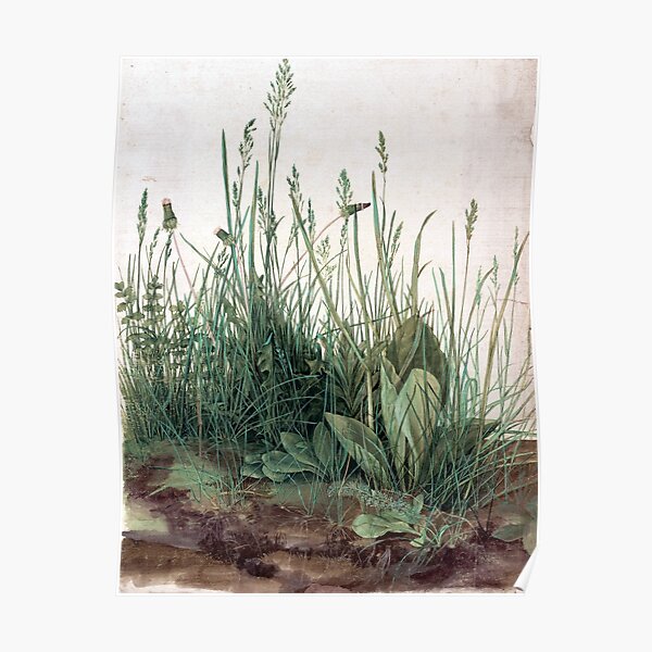 "Albrecht Dürer The Large Piece of Turf" Poster for Sale by pdgraphics ...