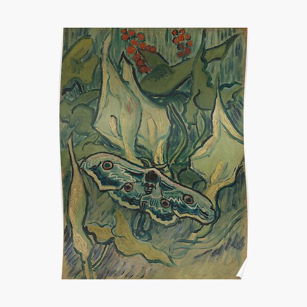 "Vincent van Gogh, Giant Peacock Moth, 1889 Painting" Poster by ...