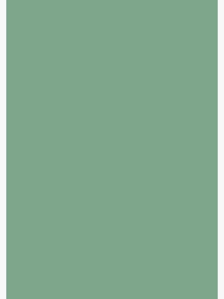 "Solid Sage Green Color" Spiral Notebook for Sale by podartist | Redbubble