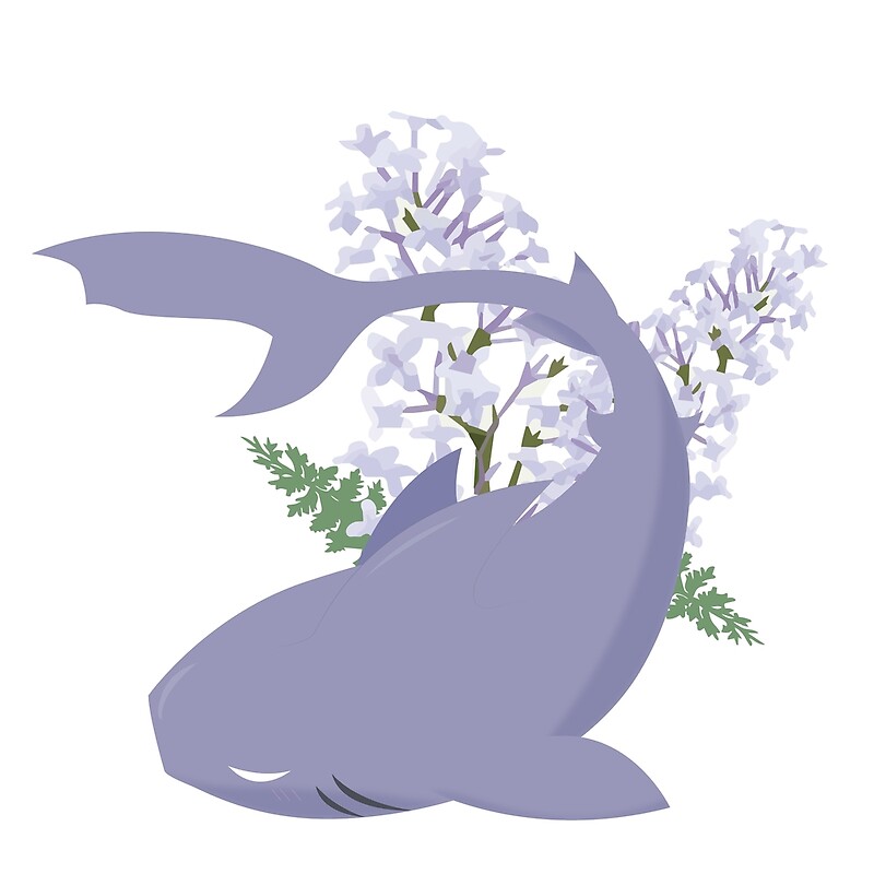 "Flora Bull Shark" by sorbetshark | Redbubble