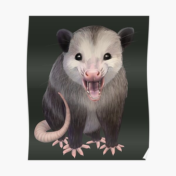 "Happy Possum" Poster by Mehu | Redbubble