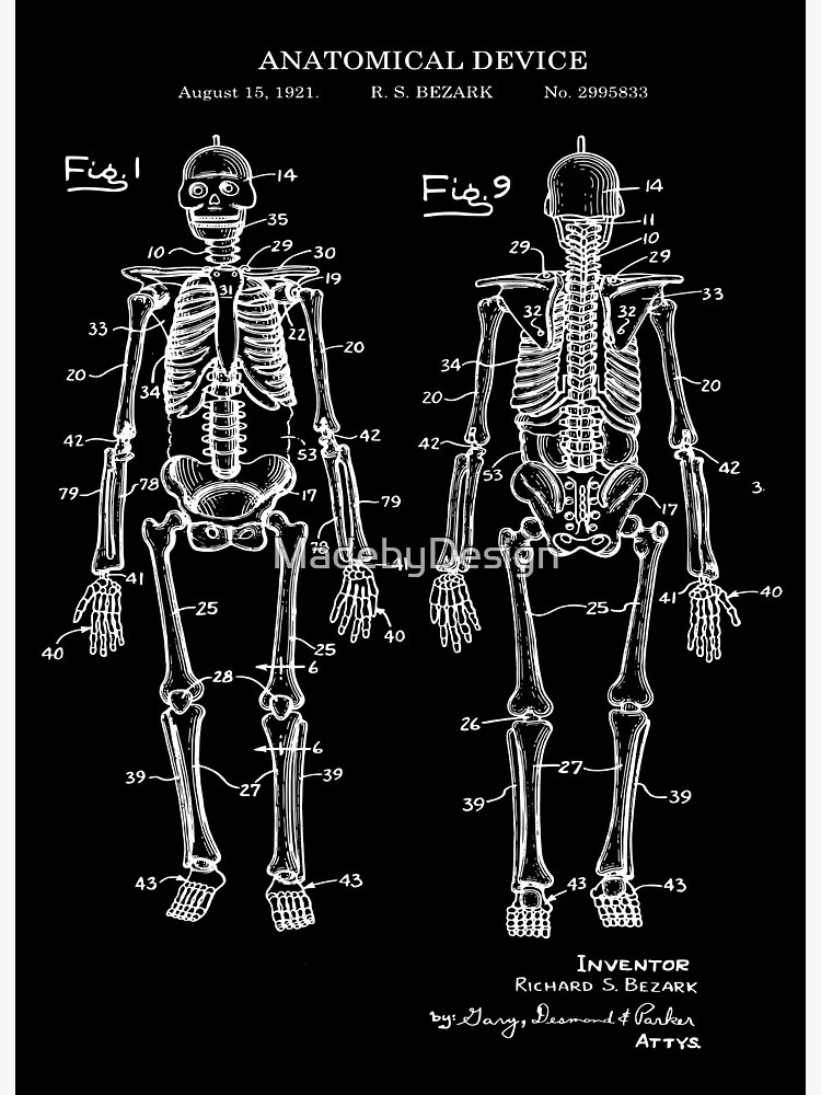 "Human Skeleton Patent Blueprint" Art Board Print for Sale by ...