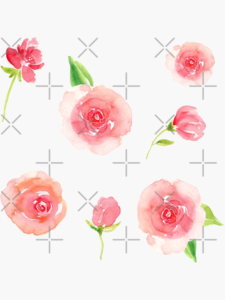 "Pretty Pink Roses Sticker Set Pack" Sticker for Sale by ApricotBlossom ...