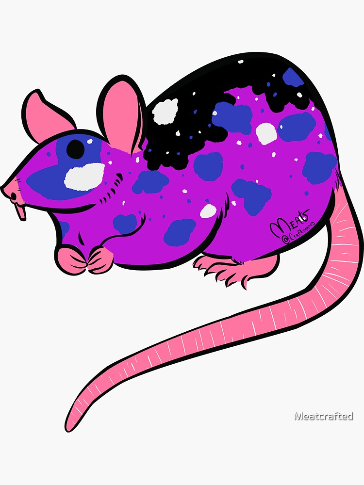 "Genderfluid Nonbinary Transgender LGBT Pride Flag Rat" Sticker by ...