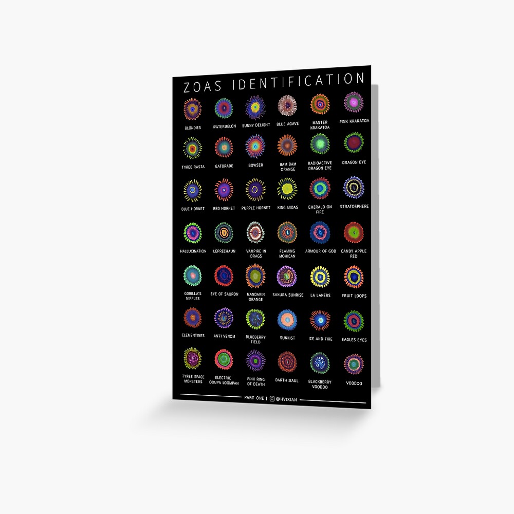 "Zoanthids Identification Poster" Poster for Sale by hvixian designs | Redbubble