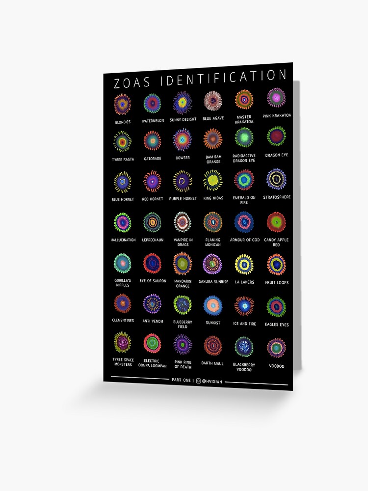 "Zoanthids Identification Poster" Greeting Card for Sale by tracylimhx ...