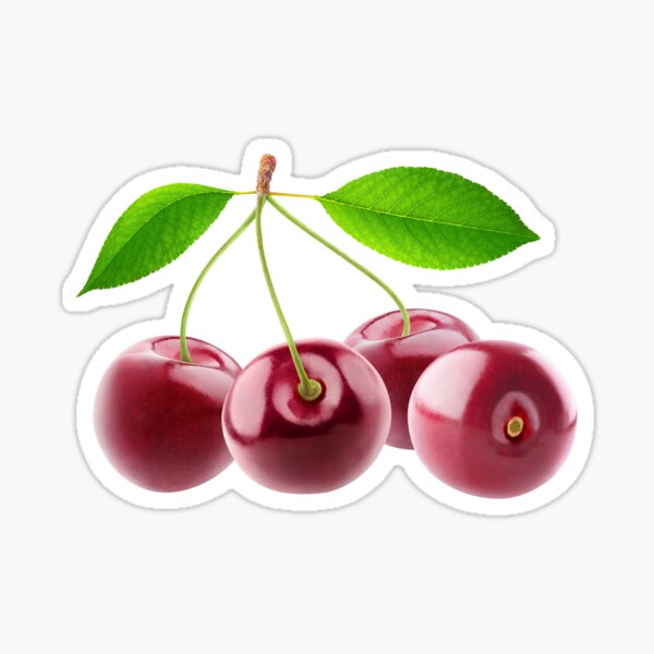 "Cherries" Sticker for Sale by 6hands | Redbubble