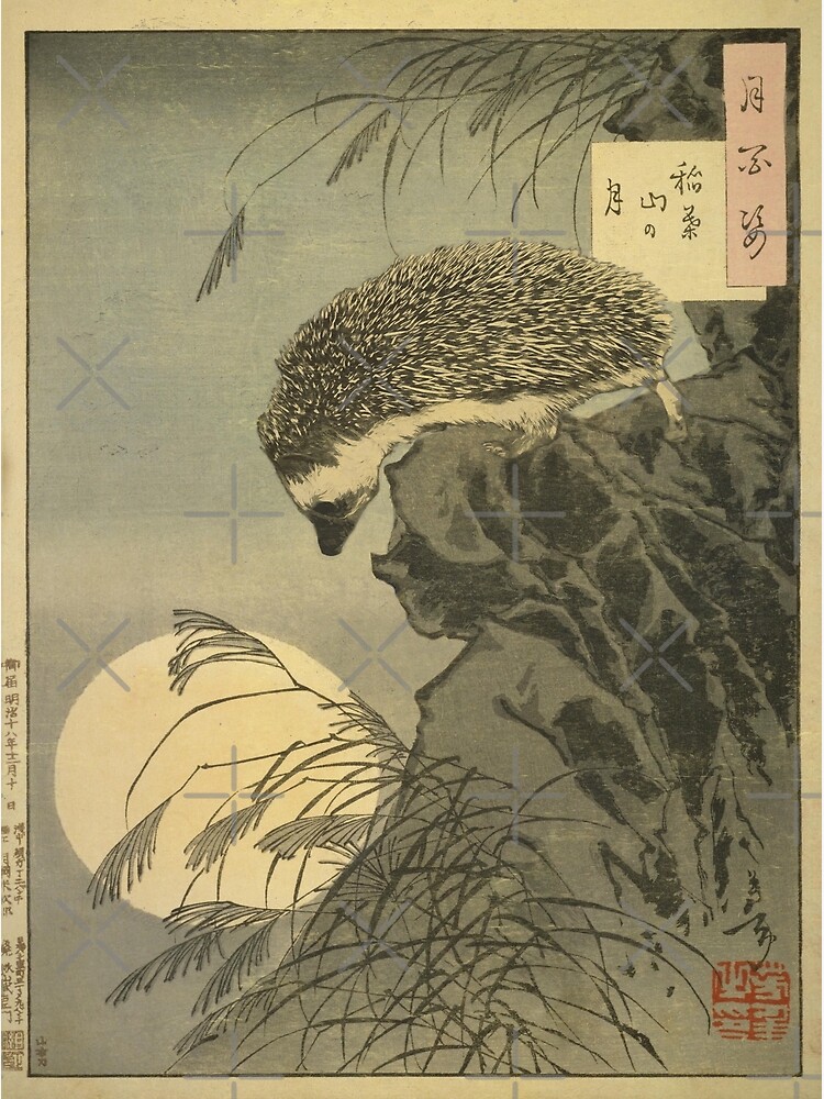"Hedgehog Warrior Princess Peering At Moon" Art Print for Sale by ...