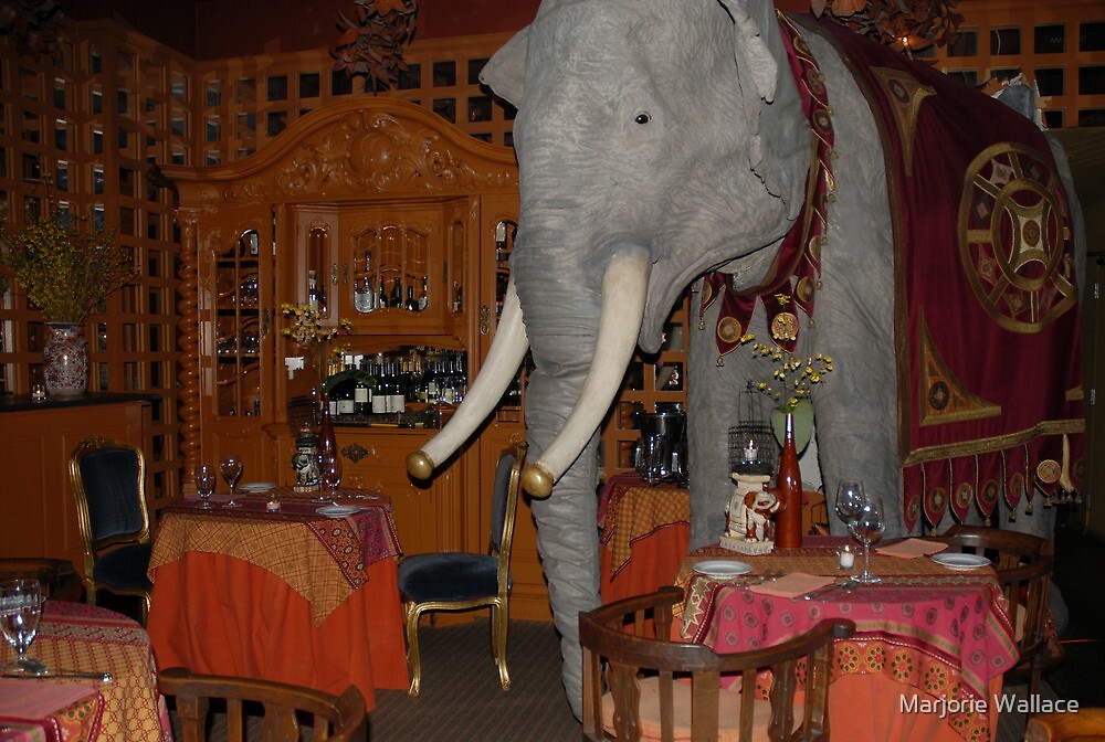 "An Elephant in the dining room ~ "The Ruins" ~ Seattle" by Marjorie ...