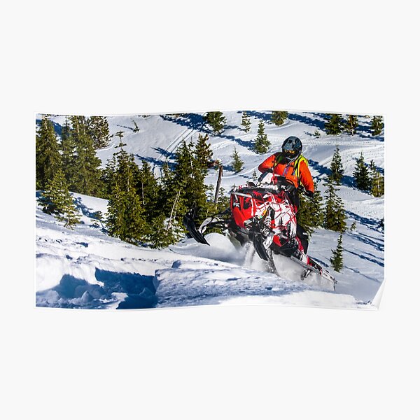 "Wheelie" Poster by Mbussard | Redbubble