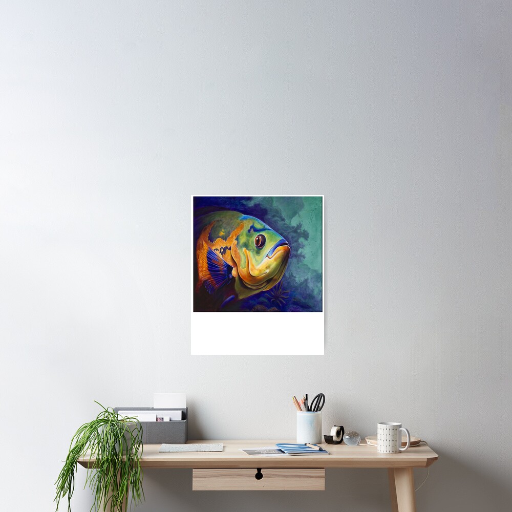 "Oscar Fish - Oscar Fish Painting - Oscar Fish Drawing - Fish - Fish ...