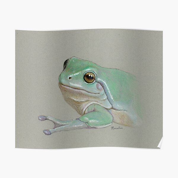 "Whites Tree Frog" Poster for Sale by Monodicadesigns | Redbubble