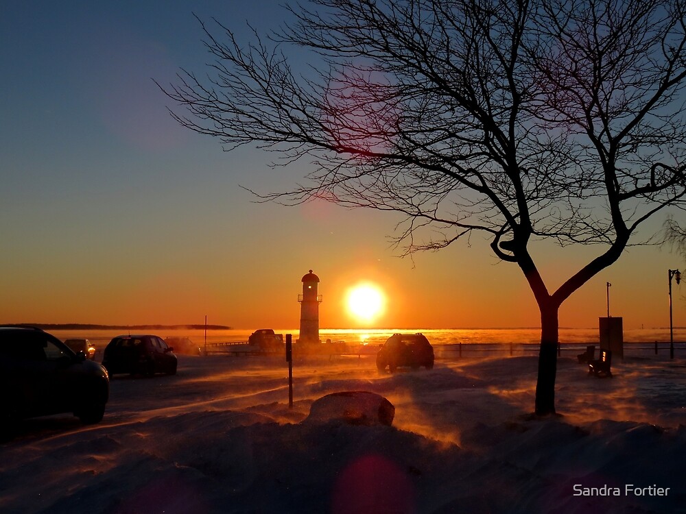 "They Will Come" by Sandra Fortier | Redbubble