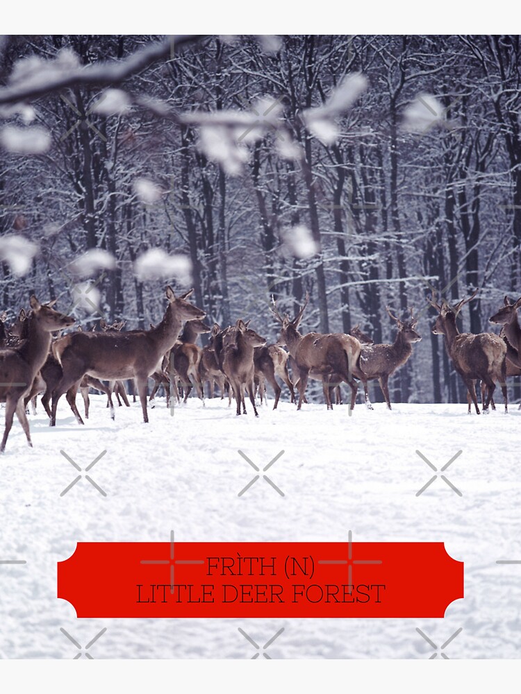 ""frìth - little deer forest" - romantic images and designs for deer ...
