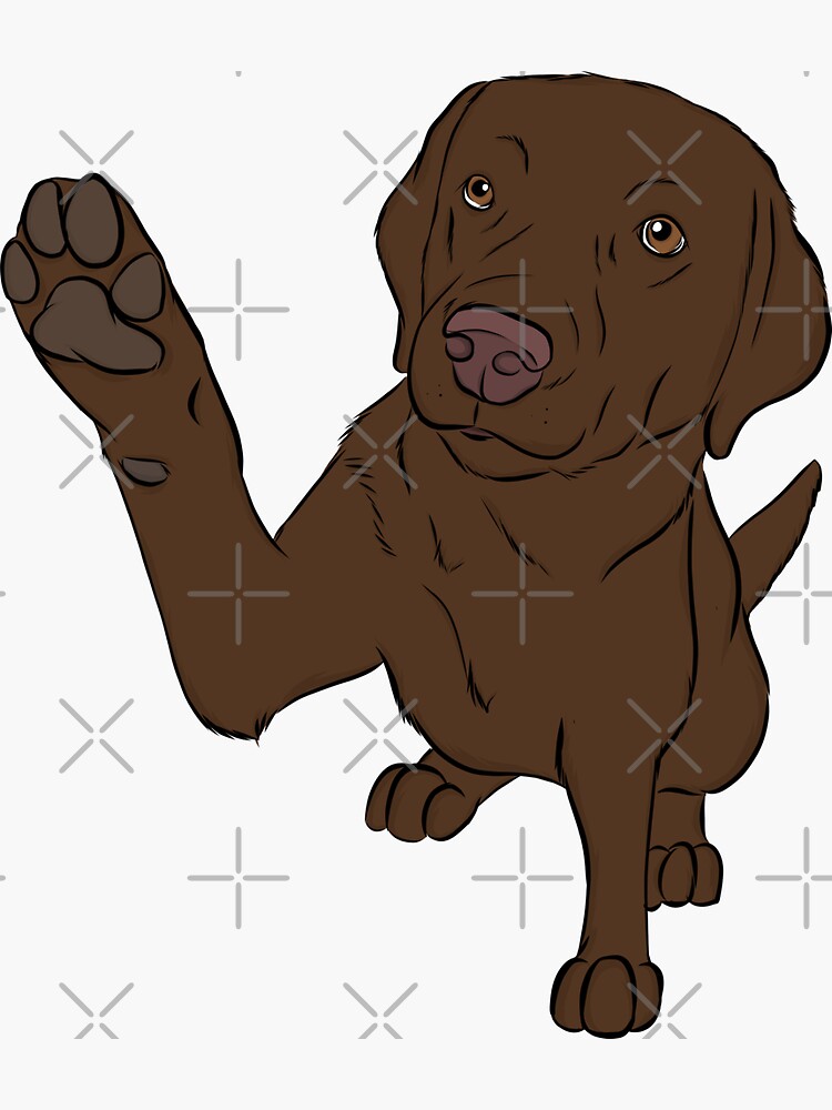 "High Five Chocolate Labrador " Sticker for Sale by rmcbuckeye | Redbubble