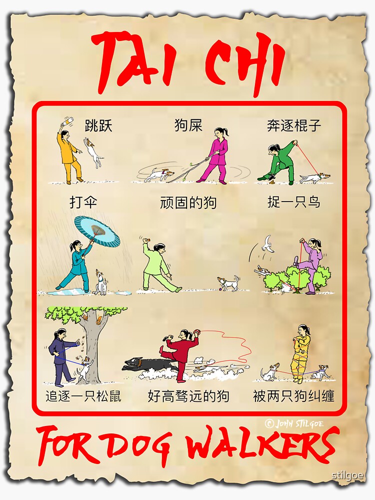 "TAI CHI FOR DOG WALKERS, ALL THE MOVES YOU DO WITHOUT KNOWING IT ...