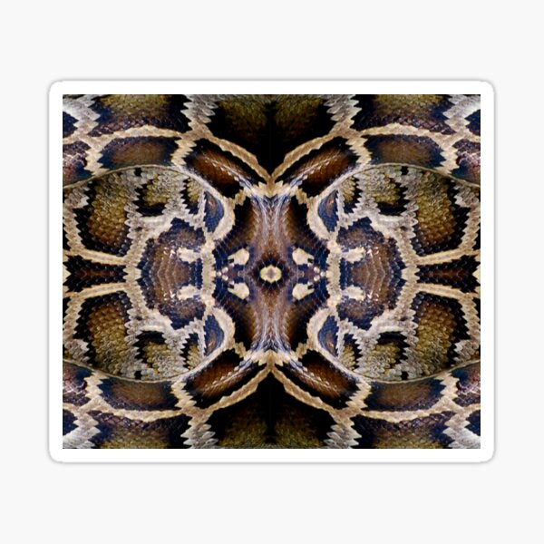 "Python" Sticker for Sale by Skaylaki | Redbubble