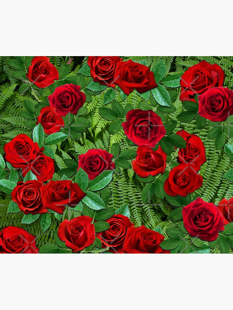 "Ferns with Red Roses" Poster by Skaylaki | Redbubble
