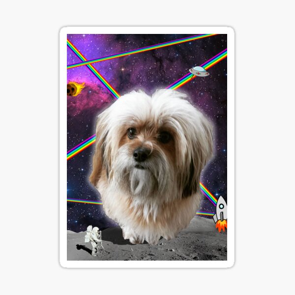 "Space dog" Sticker for Sale by roboprophet | Redbubble