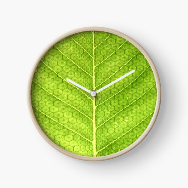 "Biomimicry - Biomaterials - Natural Symmetry" Clock for Sale by ...