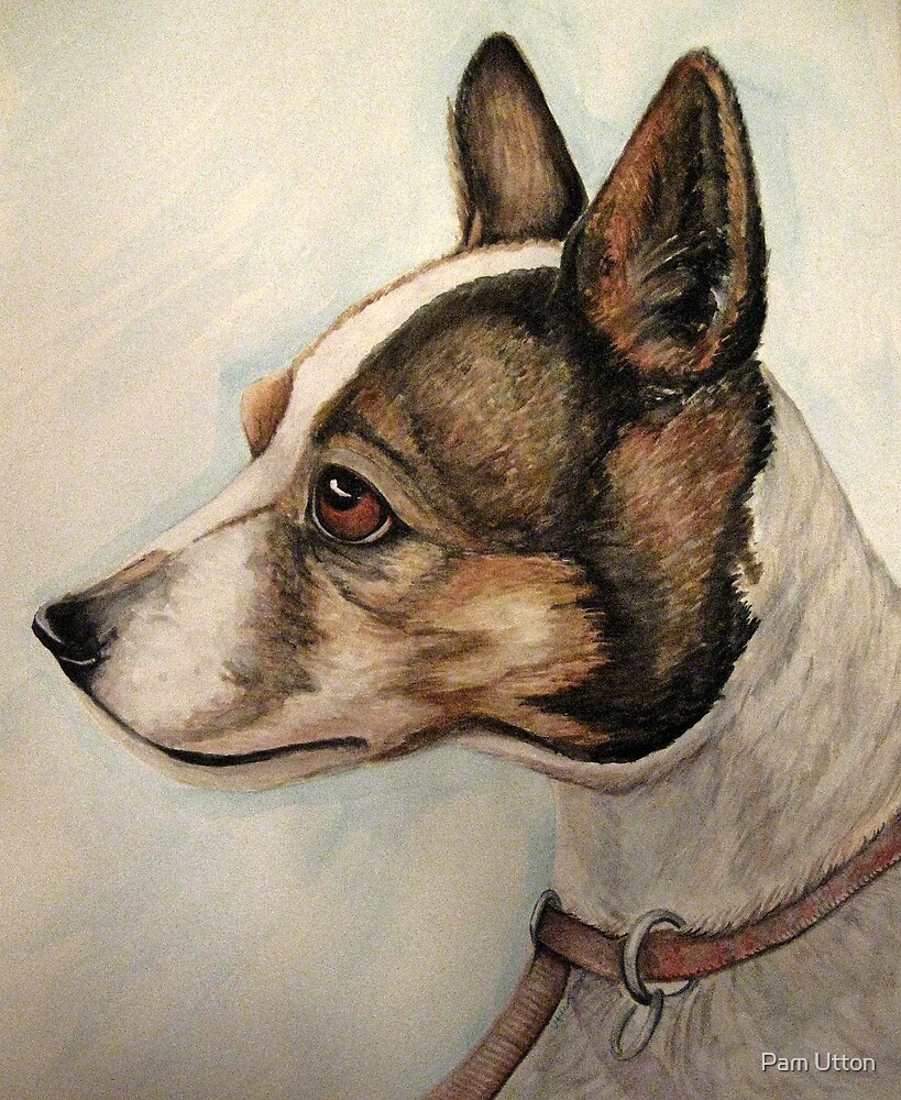 "Jack Russell Portrait" by Pam Utton | Redbubble