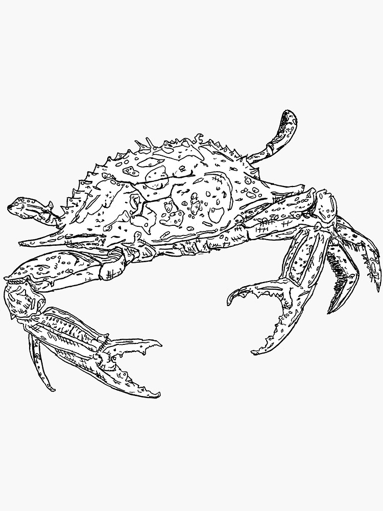 "Crab - Pen and ink drawing" Sticker for Sale by mari95santos | Redbubble