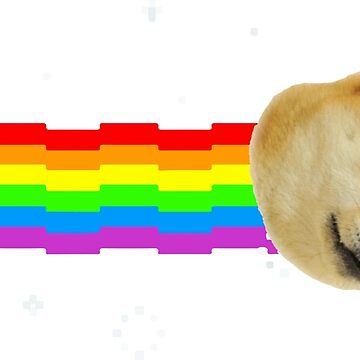 "Doge Nyan Cat Meme" Sticker for Sale by Nova5 | Redbubble