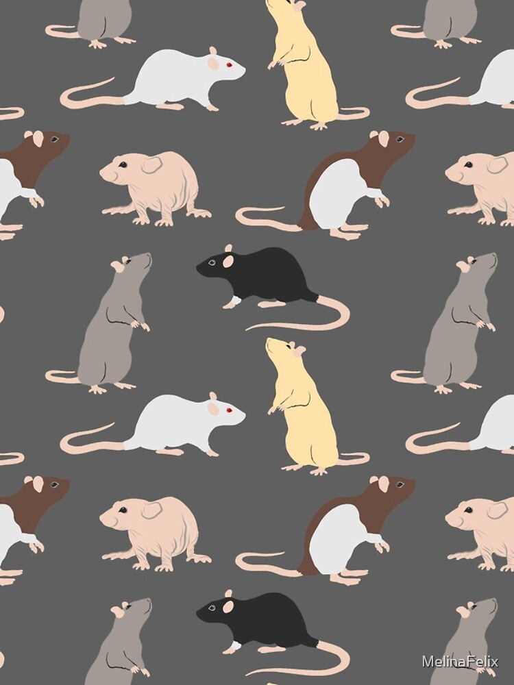 "Multi Colored rats on Gray" iPhone Case for Sale by MelinaFelix ...