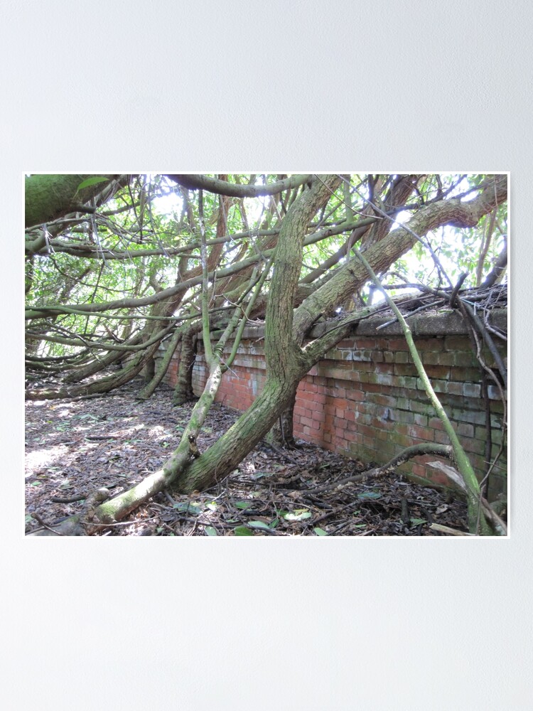 "Princetown Branch Line - Yelverton Platform" Poster by dumpman | Redbubble