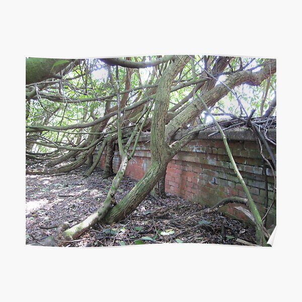 "Princetown Branch Line - Yelverton Platform" Poster by dumpman | Redbubble