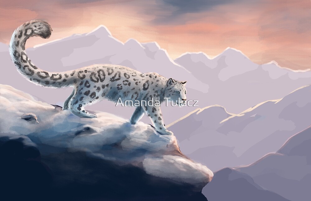 "Snow Leopard - Ghost of the Mountain" by Amanda Tulacz | Redbubble