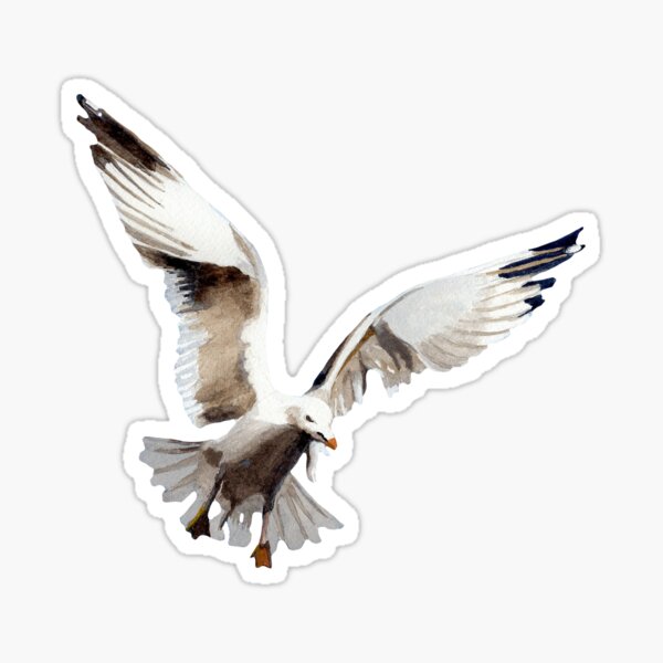 "Steven Flying Seagull - Salty and Friends" Sticker for Sale by ...