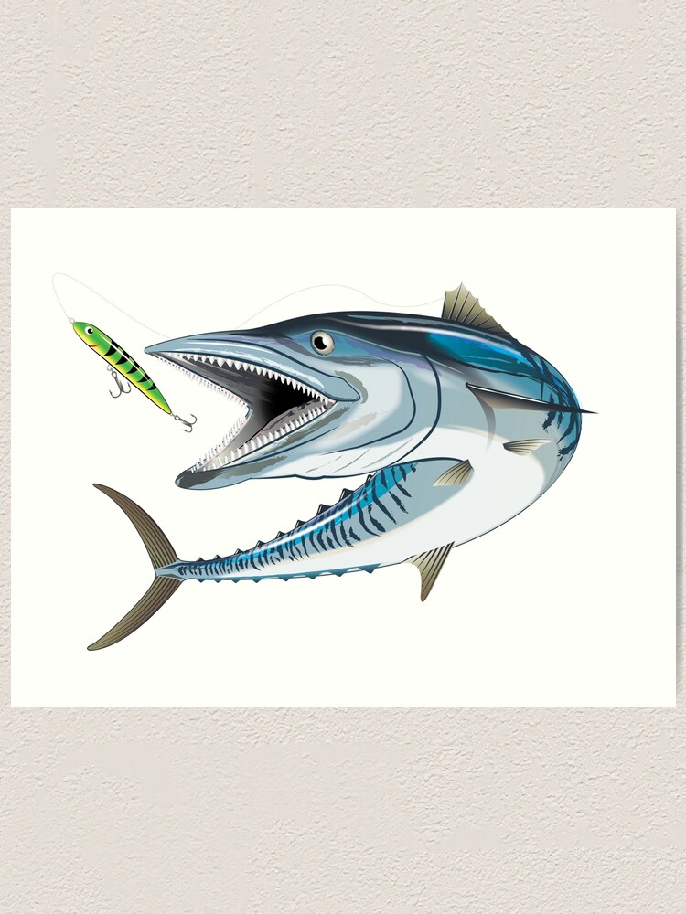"Spanish Mackerel" Art Print for Sale by CuccoviaDesign | Redbubble