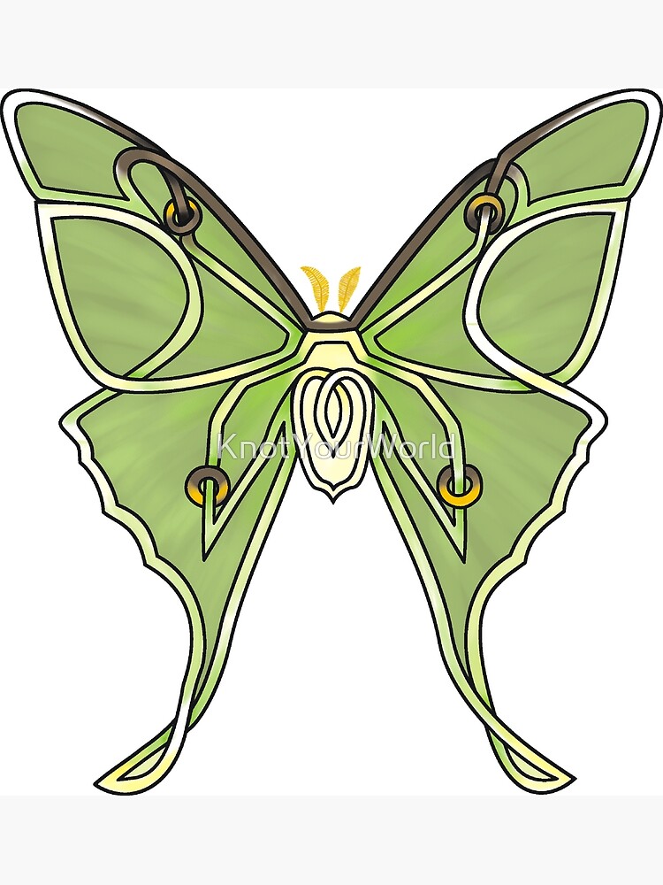 "Celtic Knot Luna Moth" Photographic Print by KnotYourWorld | Redbubble