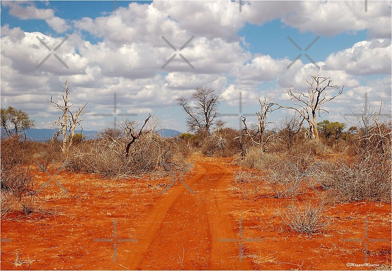 "BARREN BUSH VELD WINTER IN AFRICA" by Magriet Meintjes | Redbubble