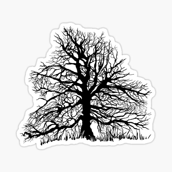 "Bare Tree" Sticker for Sale by kamkam19 | Redbubble