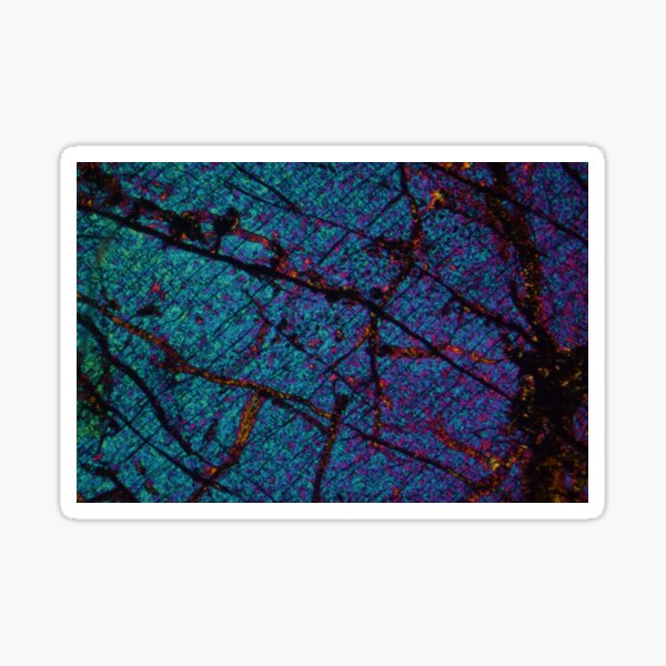 "Thin Section" Sticker for Sale by Dashnu | Redbubble