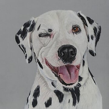 "Prince the winking Dalmation." Zipper Pouch for Sale by ...