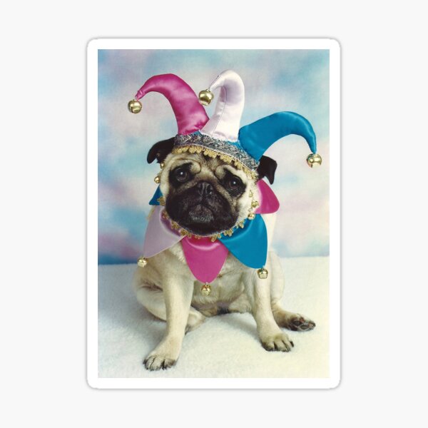"Pug Dog Jester Joker" Sticker for Sale by candiscamera | Redbubble