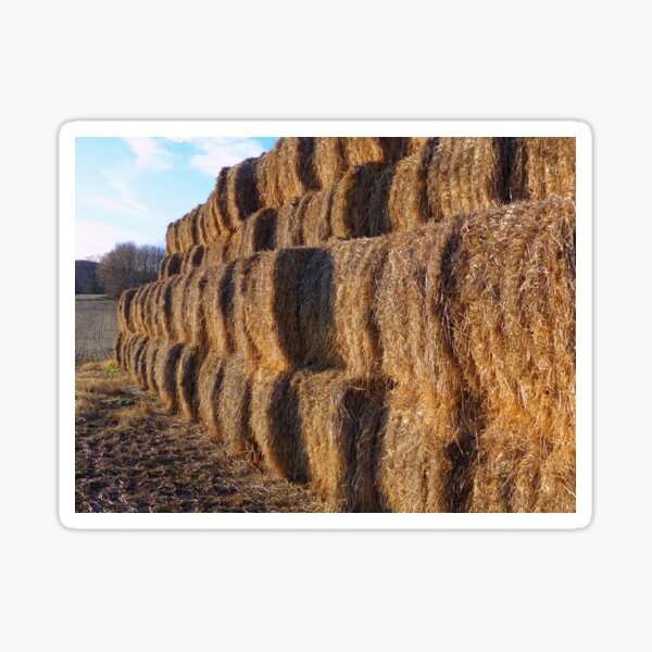 "Bales of Hay" Sticker for Sale by Joseph Skompski | Redbubble